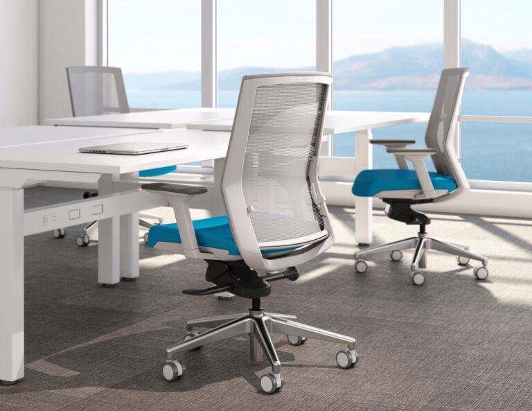 Sora Fully Adjustable Ergonomic Task Chair